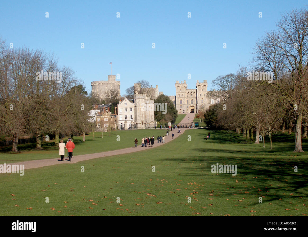 Windsor great park long walk winter hi-res stock photography and images ...