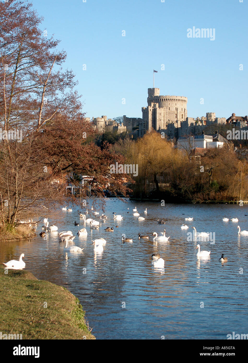 Windsor Castle, viewed across the River Thames, Windsor, Berkshire ...