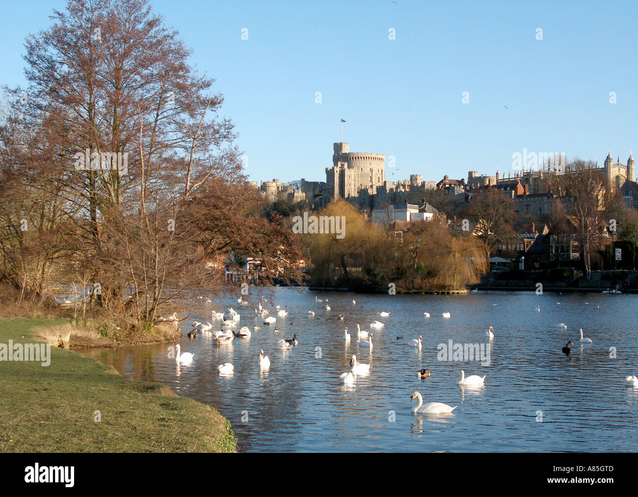 Windsor Castle, viewed across the River Thames, Windsor, Berkshire ...