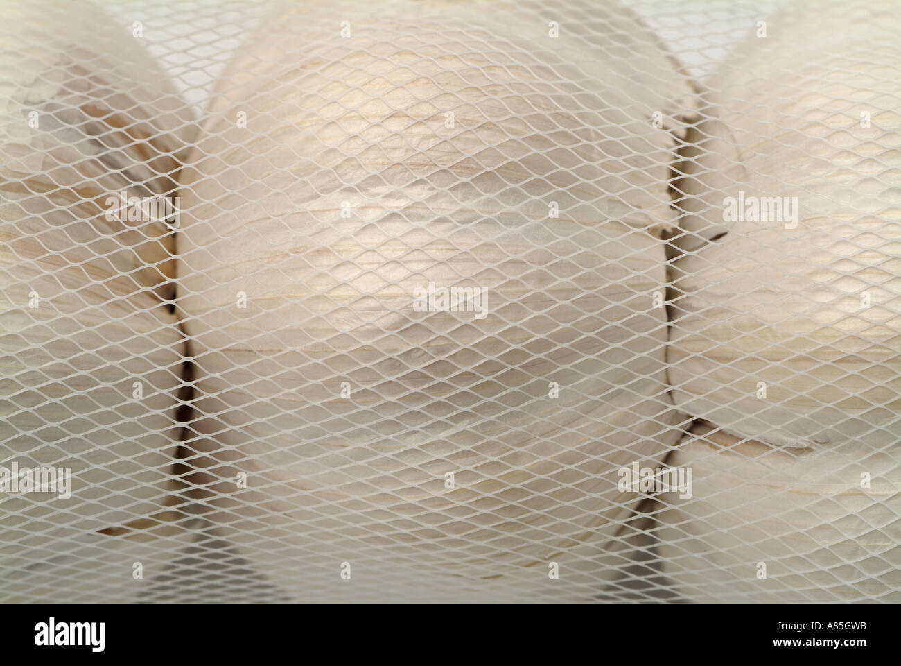 Packaged Garlic High Resolution Stock Photography and Images - Alamy