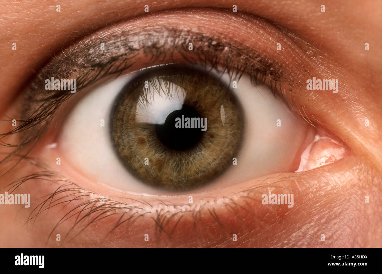 EYE. WOMAN'S EYE OPENED Stock Photo - Alamy