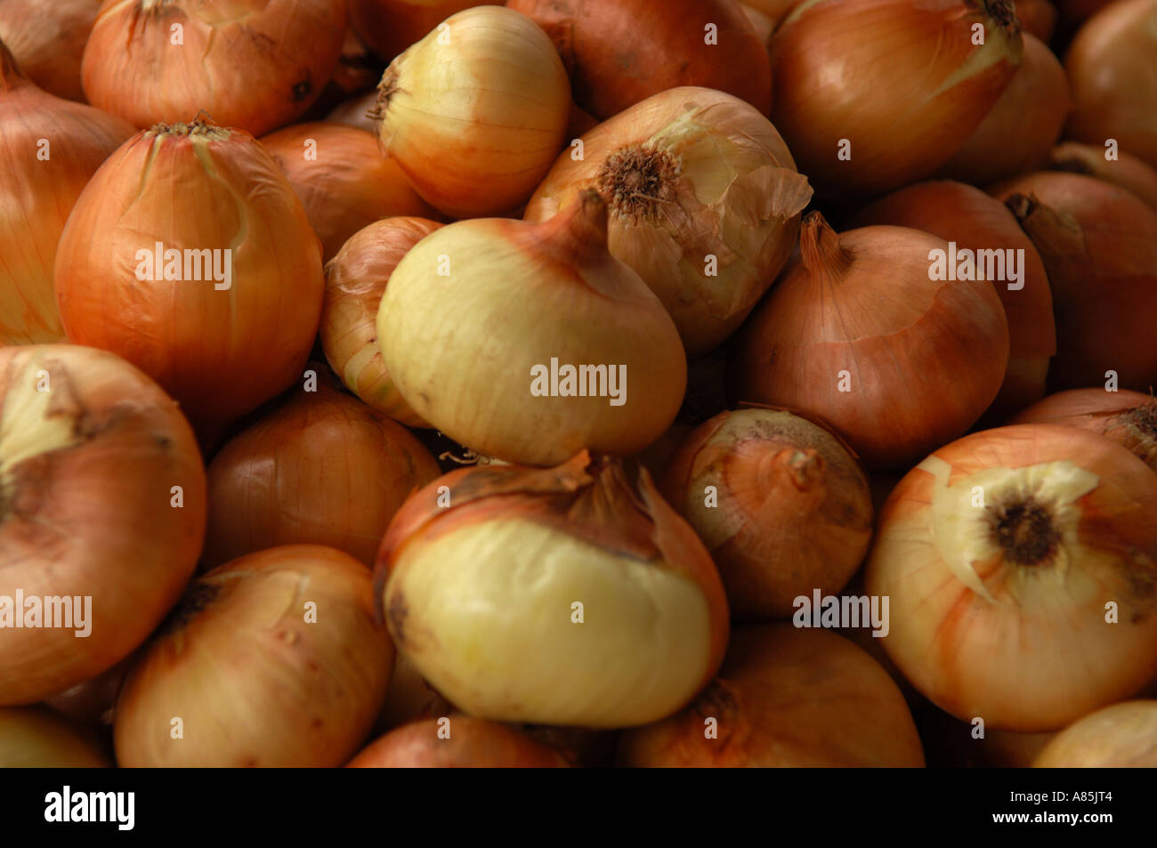 Smelly onions hi-res stock photography and images - Alamy