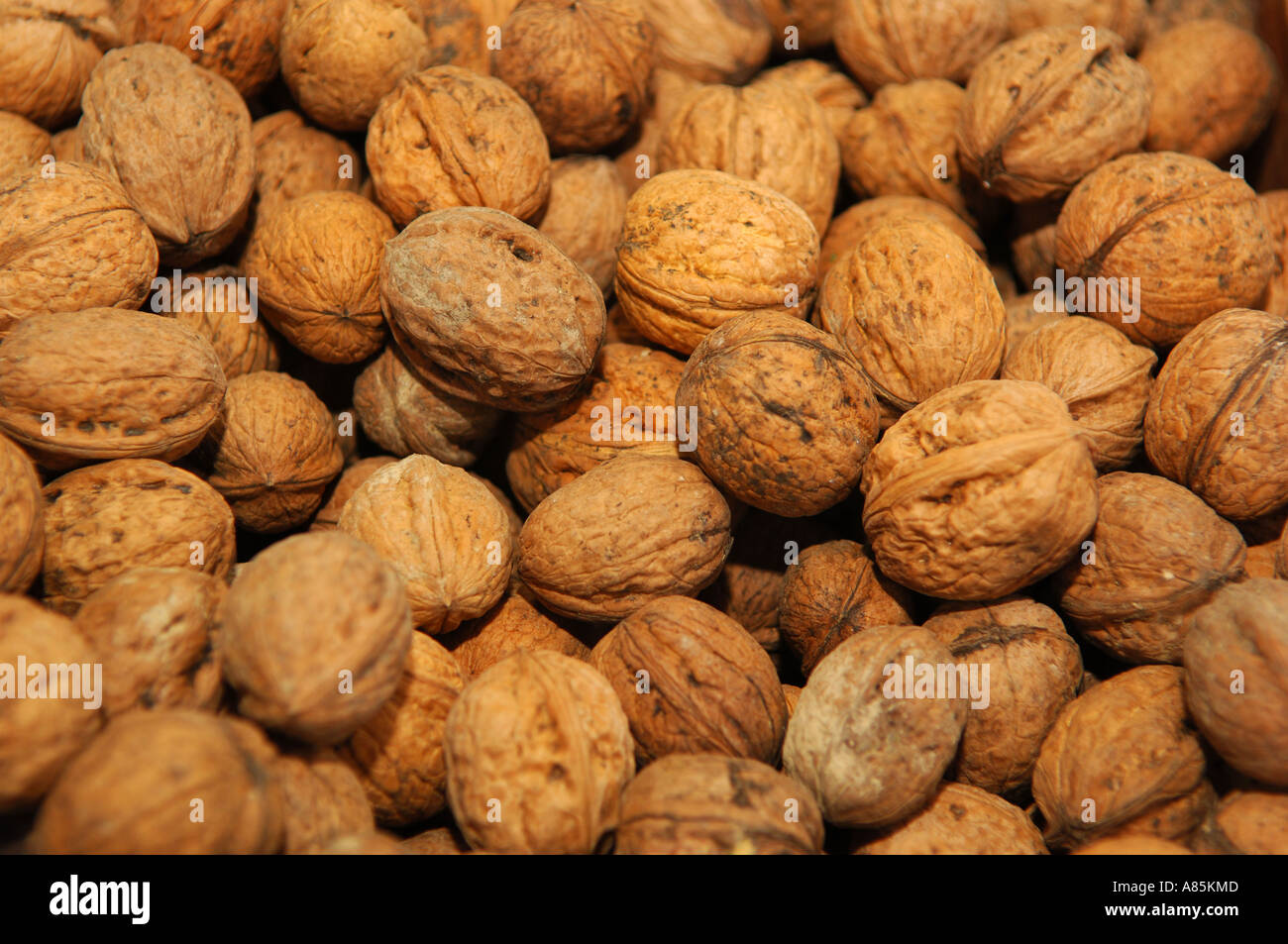 Rotten walnut hi-res stock photography and images - Alamy