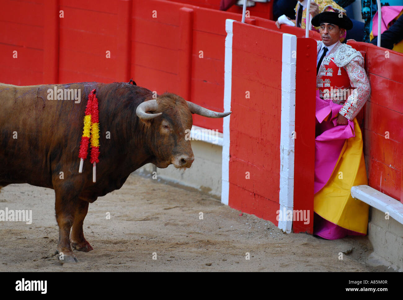 SPANISH BULLFIGHTER. BARCELONA, CATALONIA SPAIN Stock Photo - Alamy