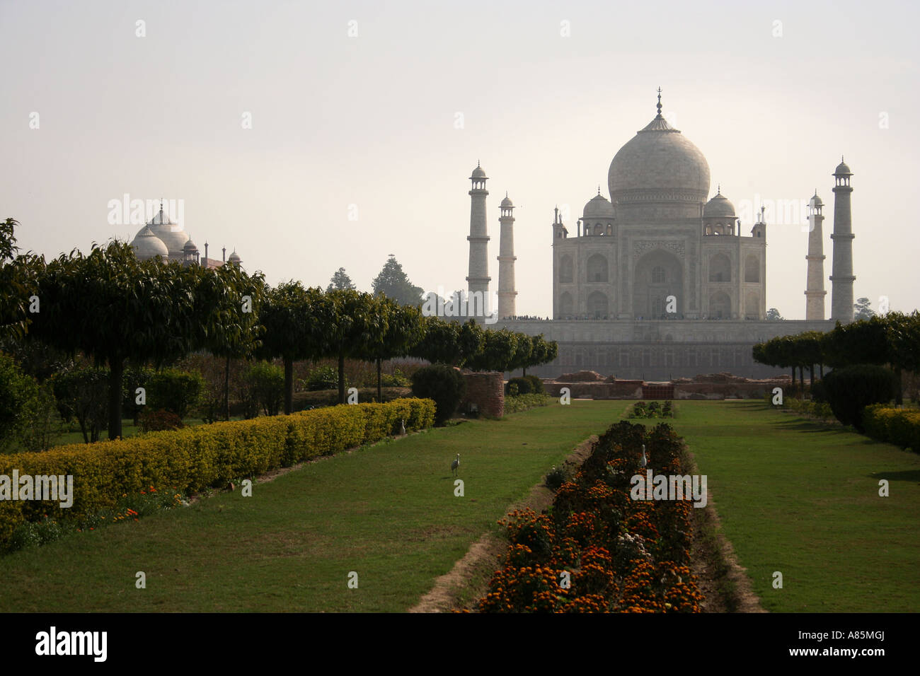 A view of the Taj Mahal from across the Yamuna River, Agra, India Stock ...
