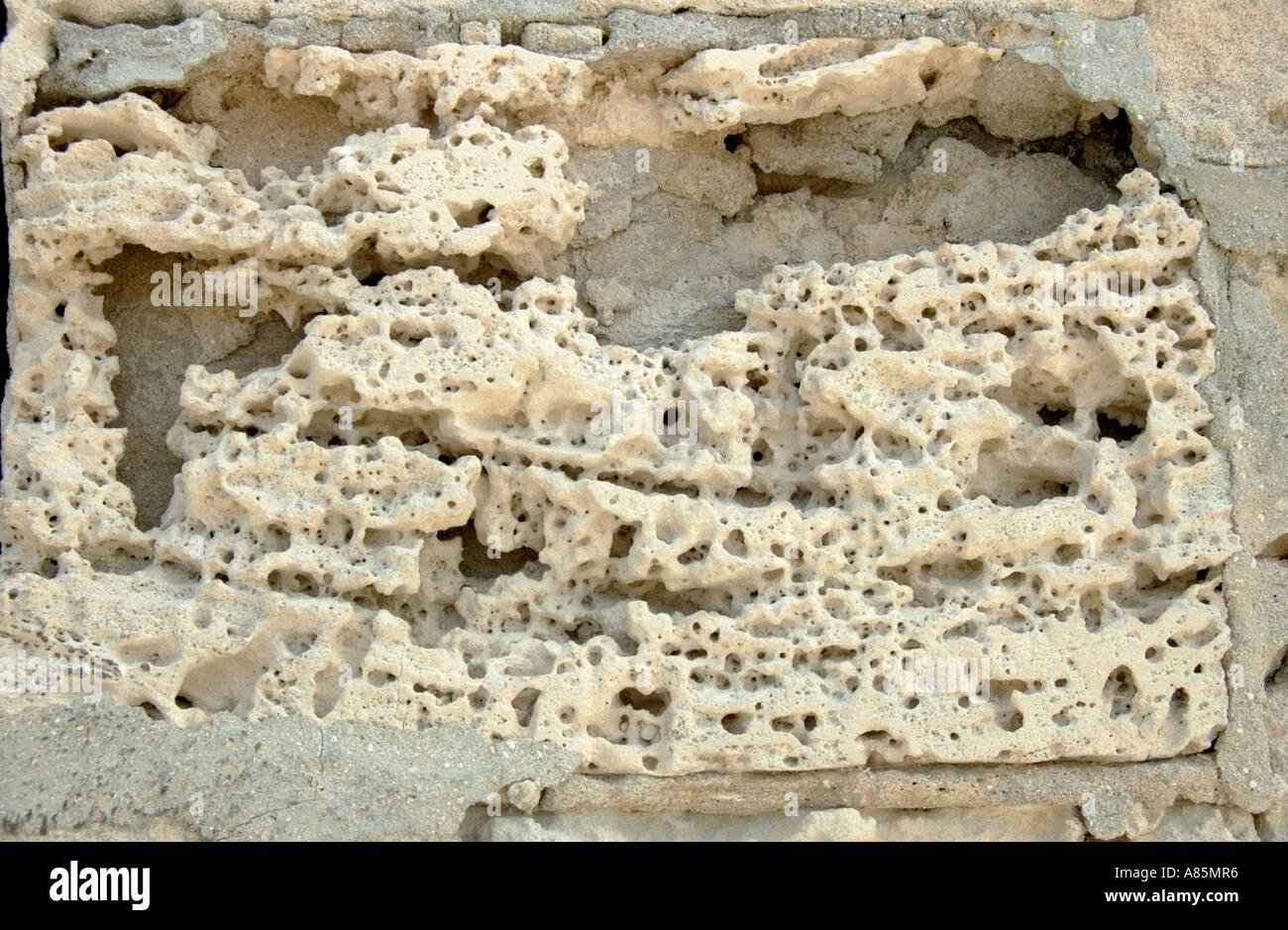 Porous rock, part of Fort Fin-castle Nassau Bahamas Stock Photo - Alamy