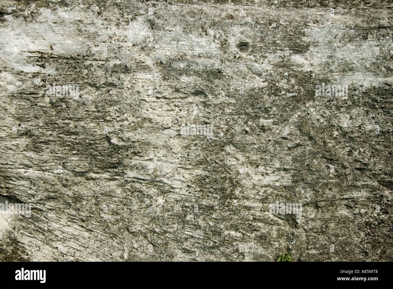 Gray rock, use for good background Stock Photo - Alamy