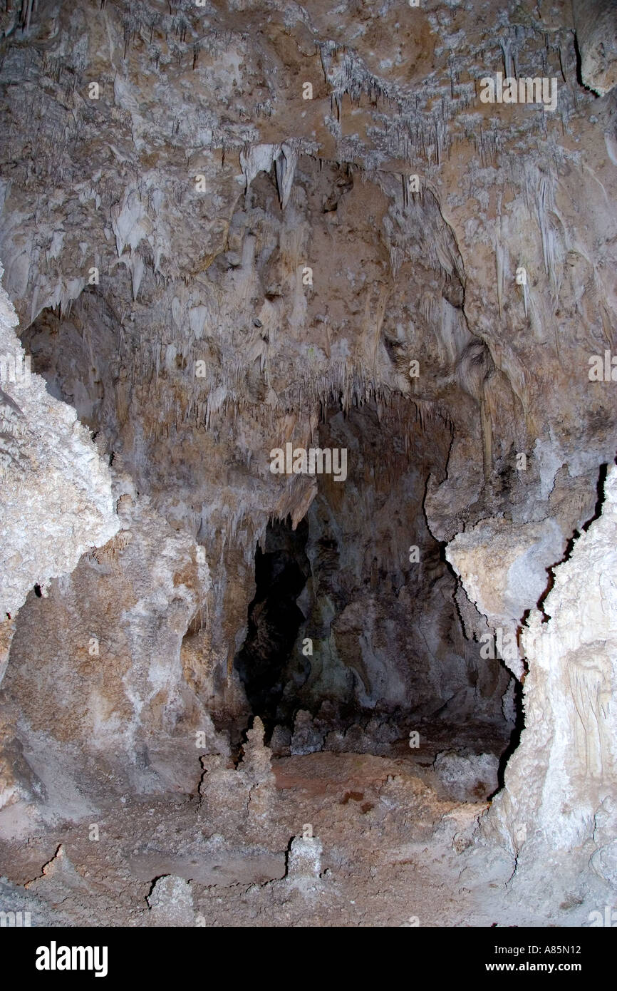 Inside the caves of the Carlsbad Caverns Stock Photo - Alamy
