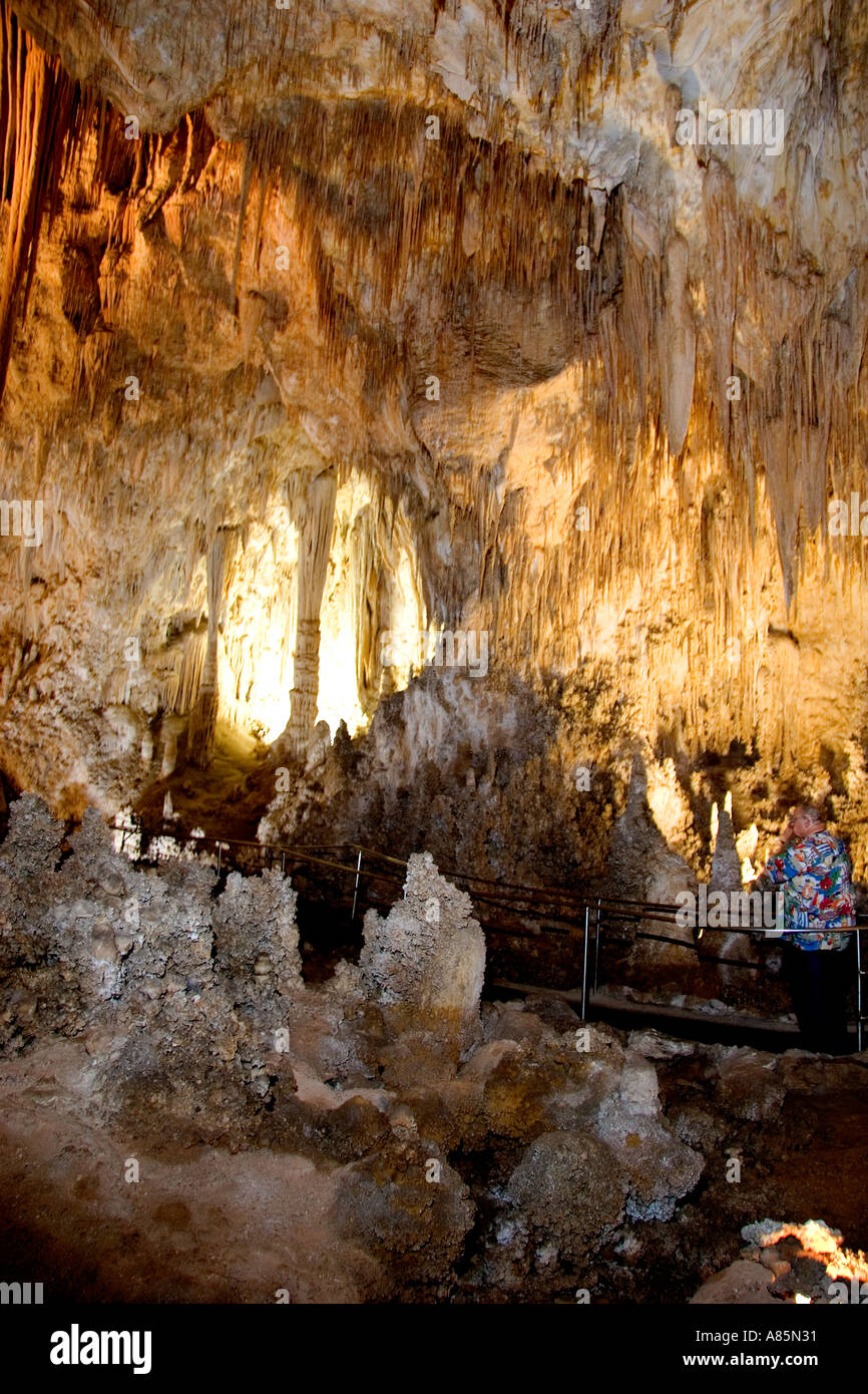 Inside the caves of the Carlsbad Caverns New Mexico Stock Photo - Alamy