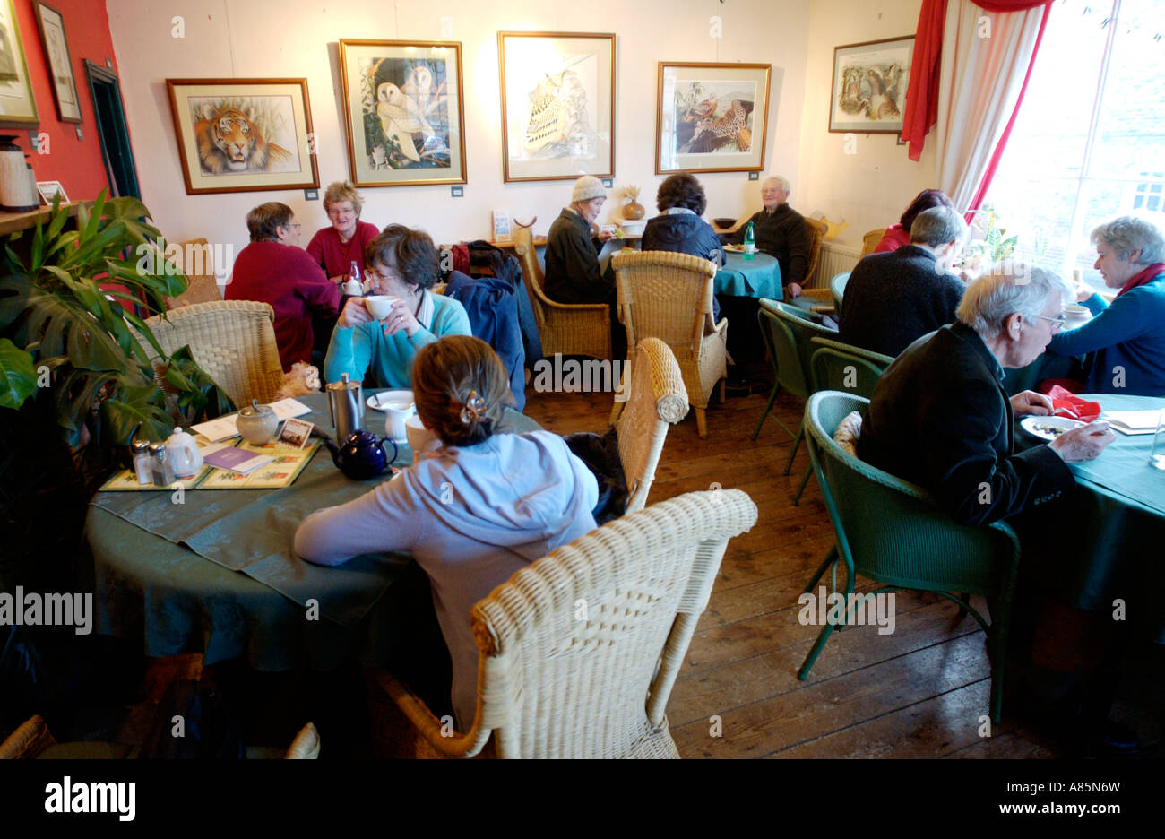 Interior of the award winning Ivy House Tea Rooms Montgomery Powys Mid ...