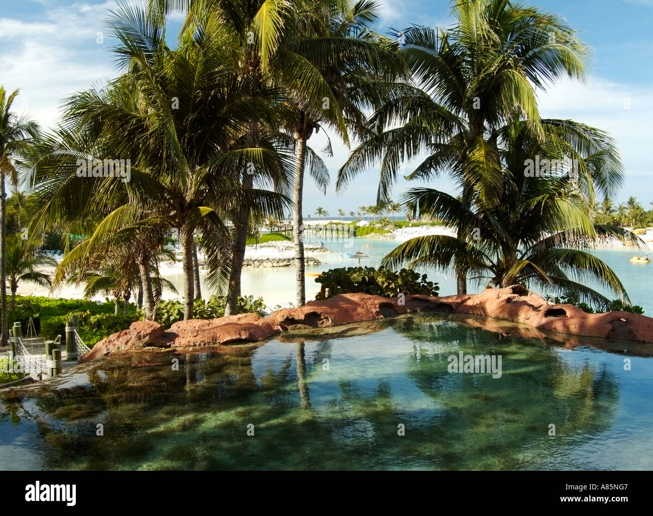 Palms trees in the lagoon at a resort Stock Photo - Alamy