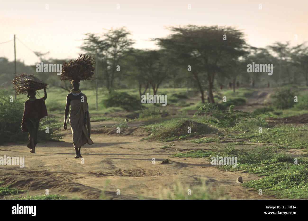 Lokichogio or Loki is 30 kms from the border of south Sudan in Turkana ...
