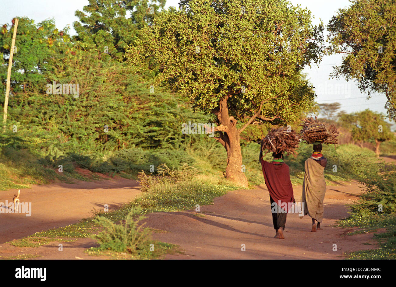Lokichogio or Loki is 30 kms from the border of south Sudan in Turkana ...