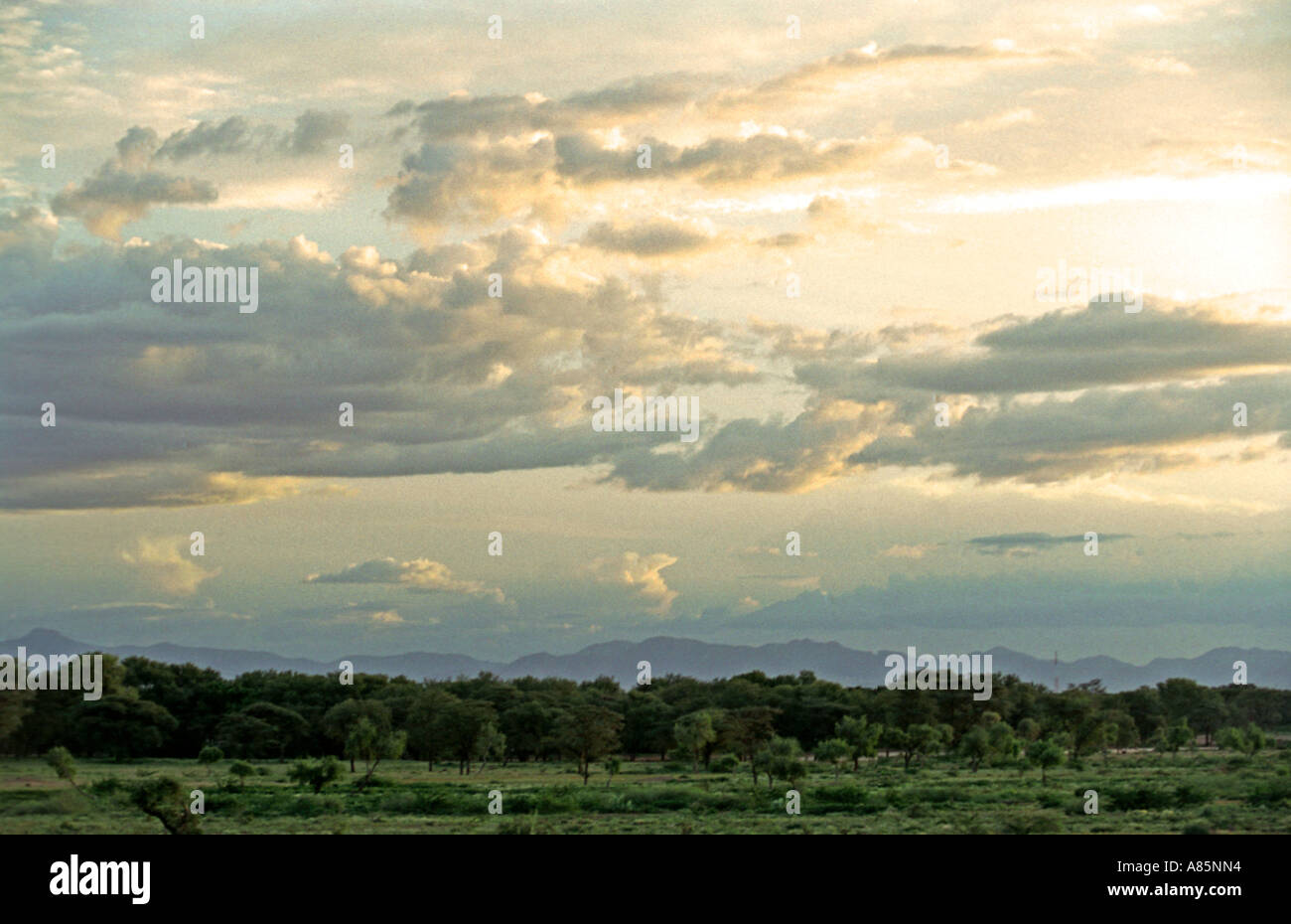 Lokichogio or Loki is 30 kms from the border of south Sudan in Turkana ...