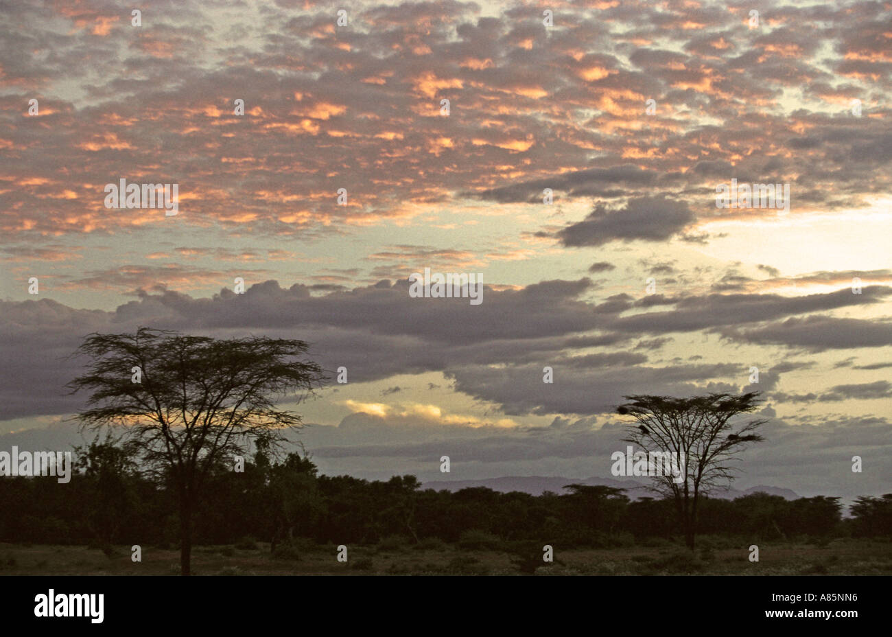 Lokichogio or Loki is 30 kms from the border of south Sudan in Turkana ...