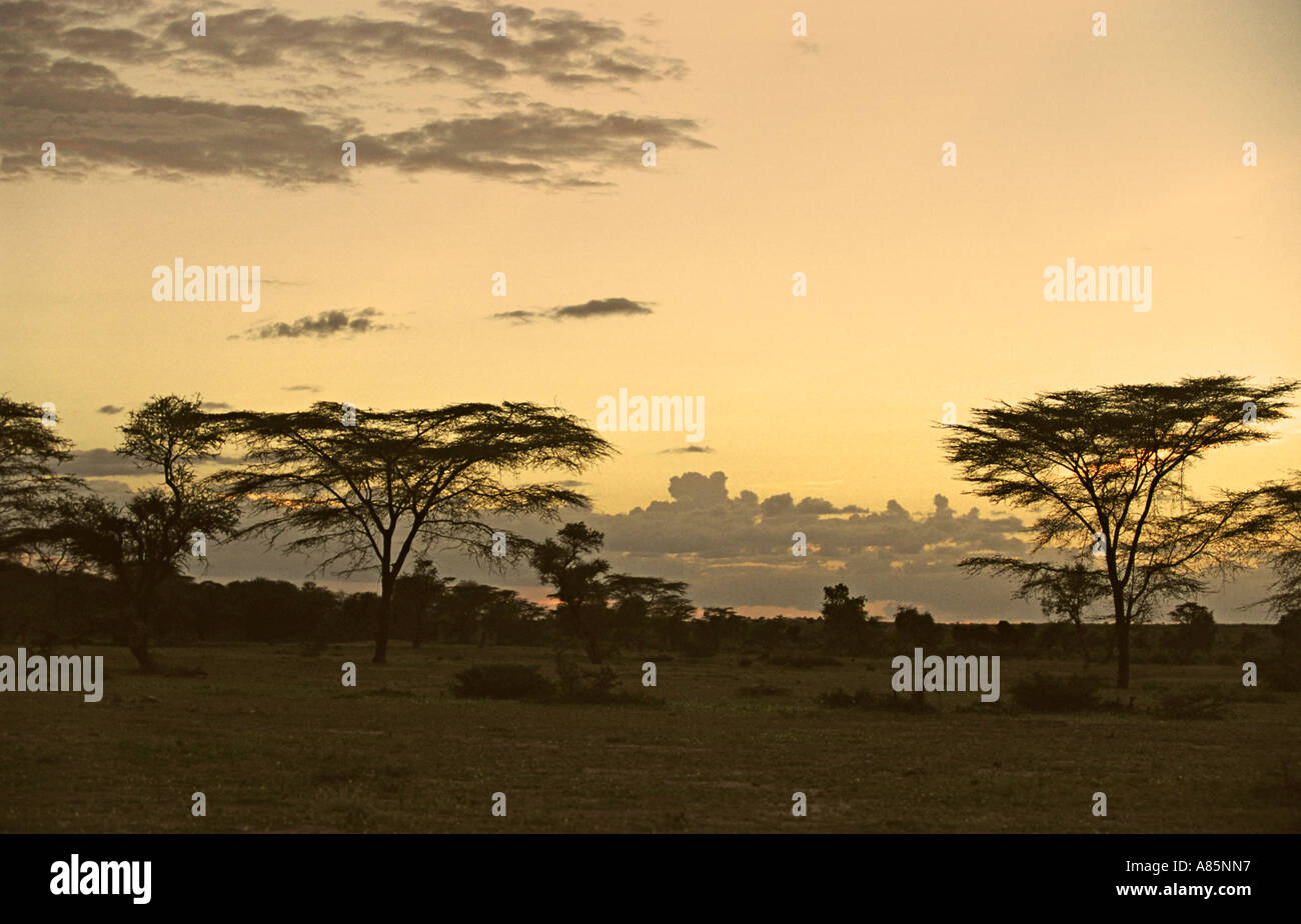 Lokichokio hi-res stock photography and images - Alamy