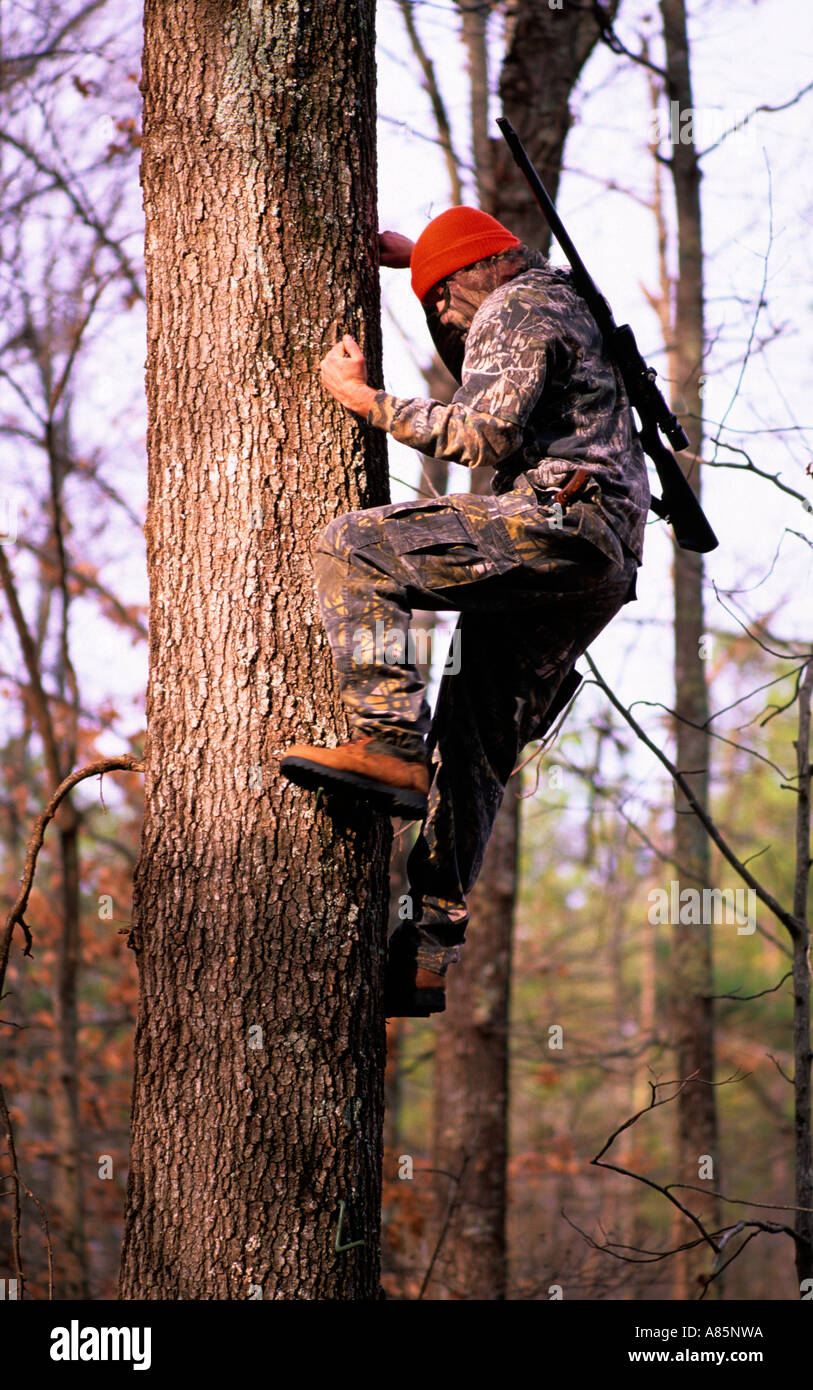 Rifle hunting usa hi-res stock photography and images - Alamy