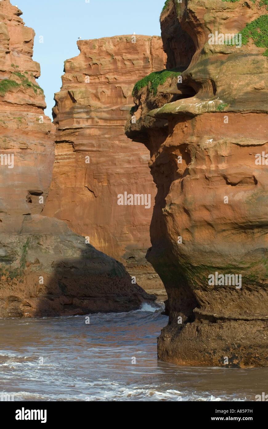 Ladram bay cliff stacks devon hi-res stock photography and images - Alamy