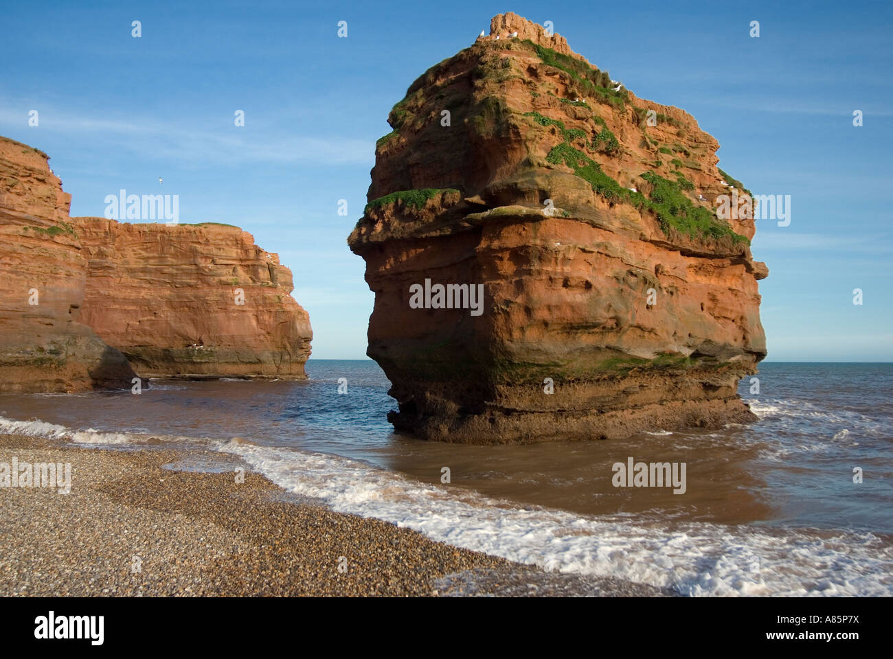 Red rock stacks at Ladram bay, Devon March 2007 Stock Photo - Alamy