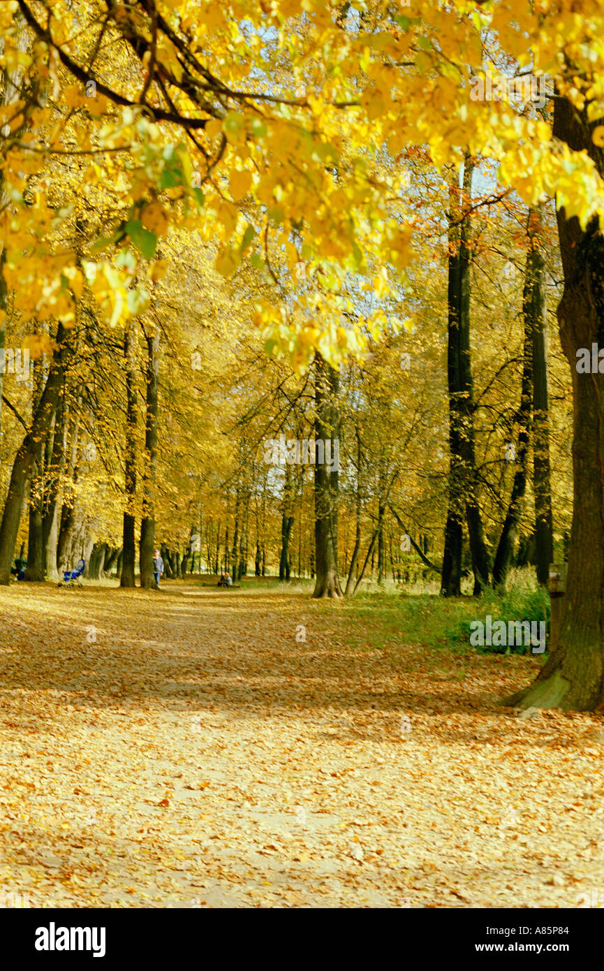 Russian lime hi-res stock photography and images - Alamy