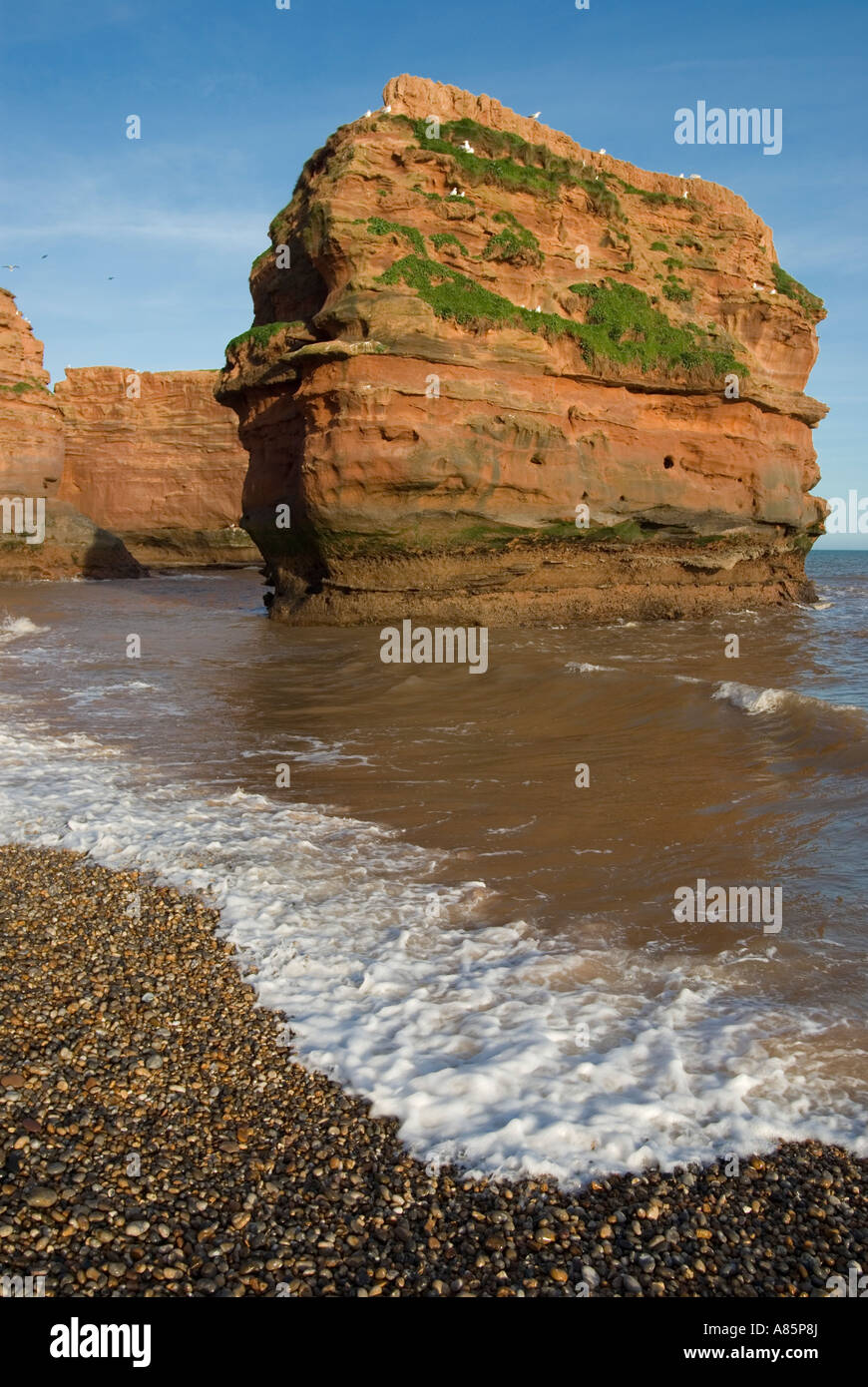 Red rock stacks at Ladram bay, Devon March 2007 Stock Photo - Alamy