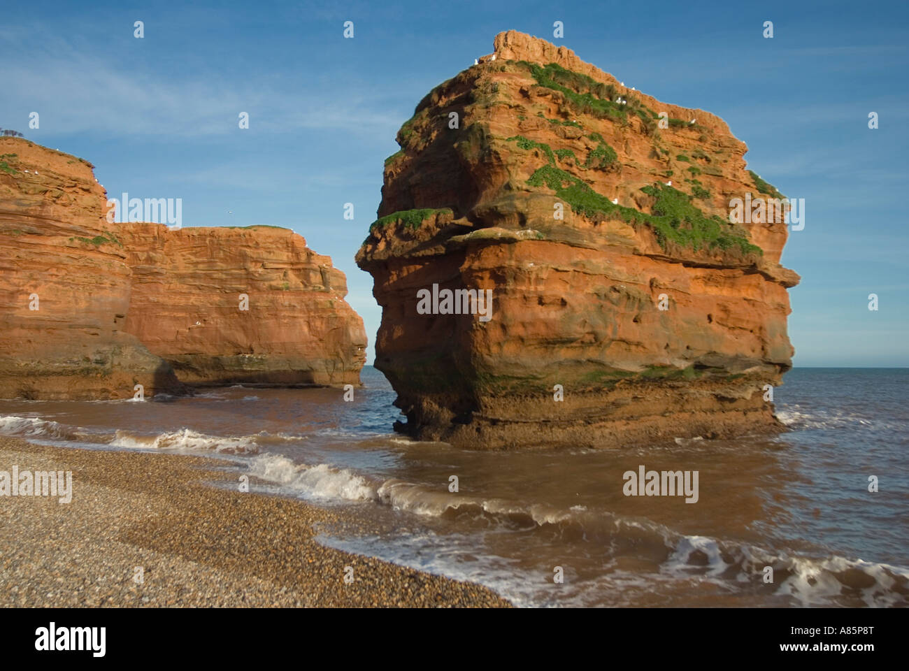 Red rock stacks at Ladram bay, Devon March 2007 Stock Photo - Alamy