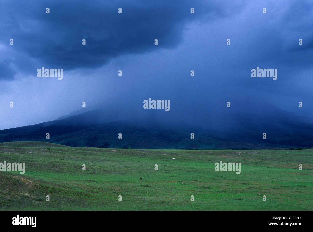 Heavy rainfall obscures a tepui in the Gran Sabana region of southern ...