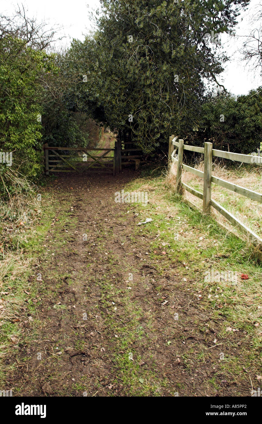 Bourne End pathway Stock Photo - Alamy