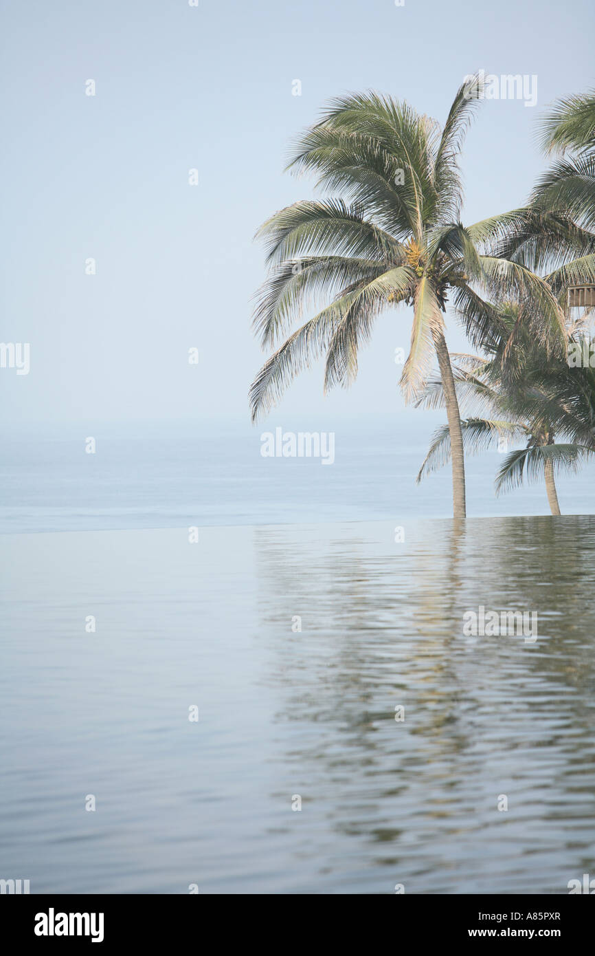Pool palm trees and ocean, Acapulco, Mexico Stock Photo - Alamy