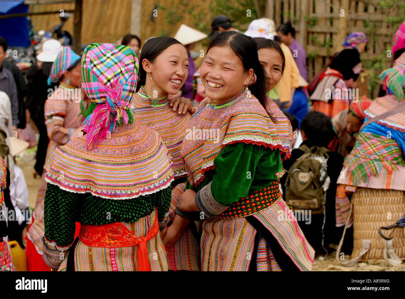 bac ha flower hmong Stock Photo - Alamy