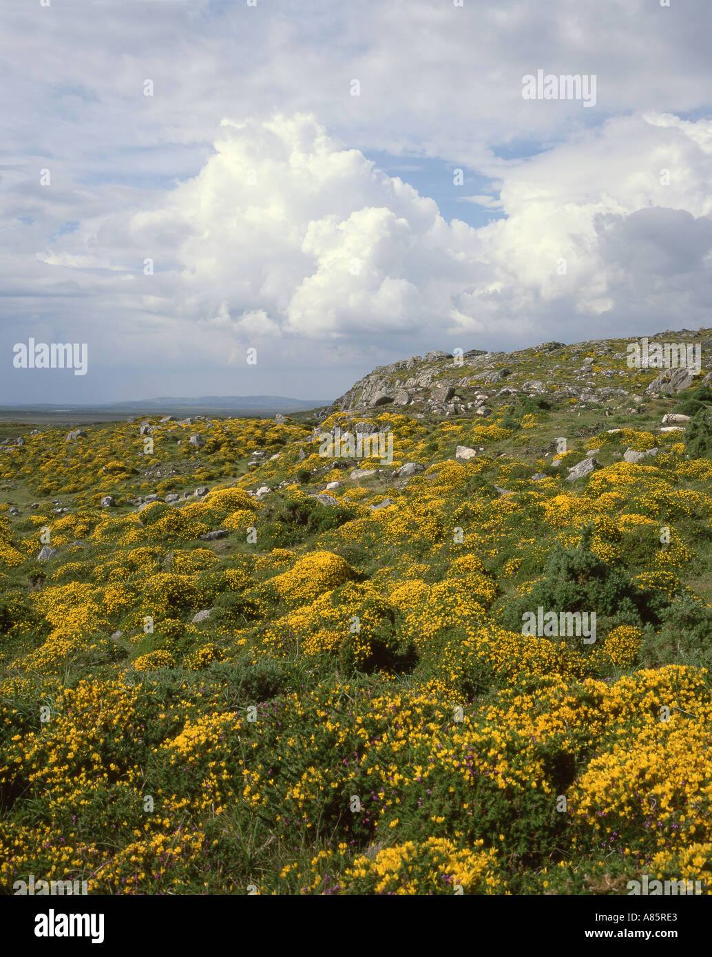 Roundstone bog ireland hi-res stock photography and images - Alamy