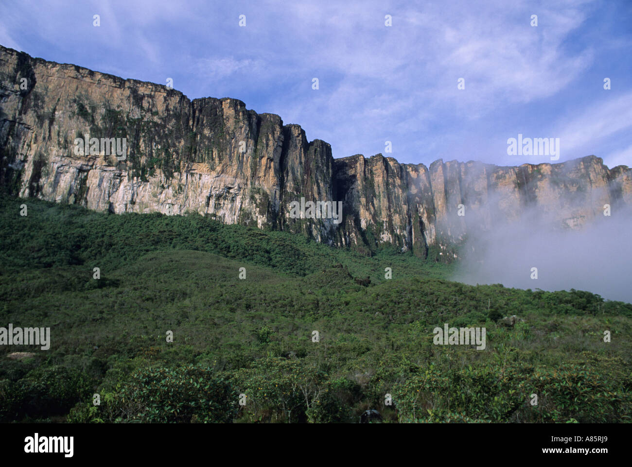 Monte roraima hi-res stock photography and images - Alamy