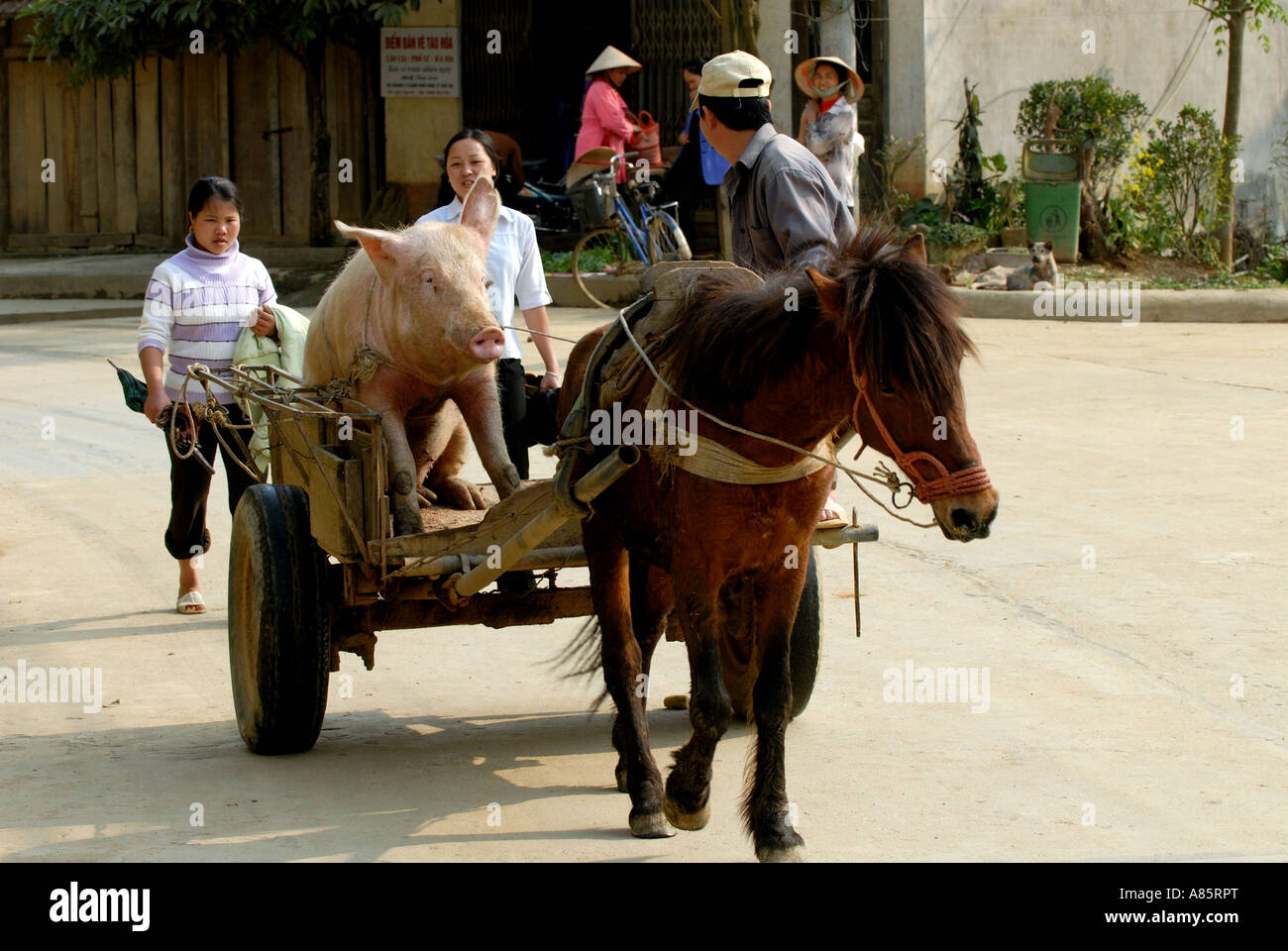 bac ha town Stock Photo - Alamy