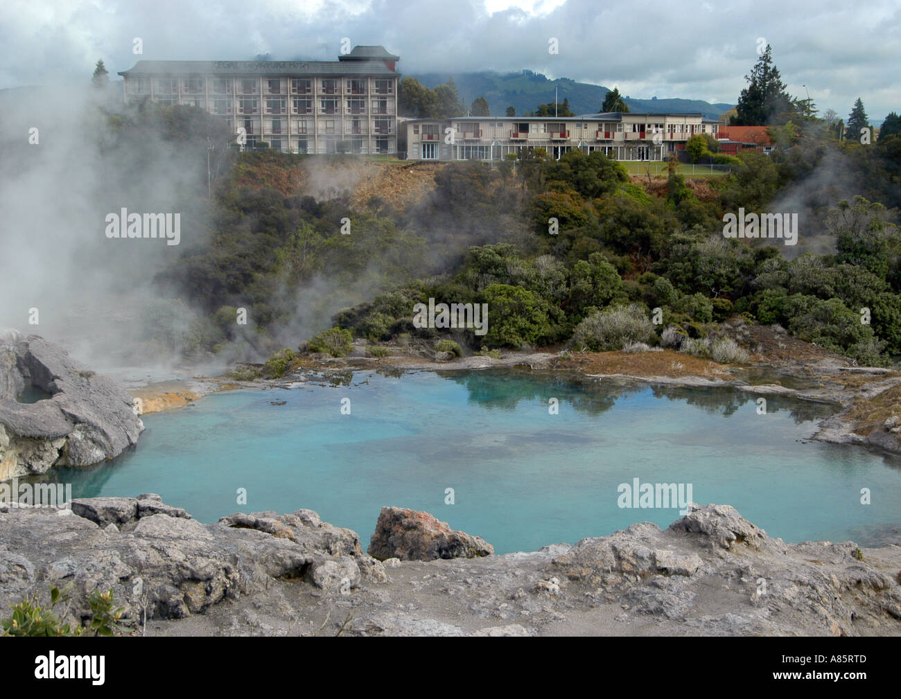 Hot sulphurous springs at Rotorua, New Zealand Stock Photo - Alamy