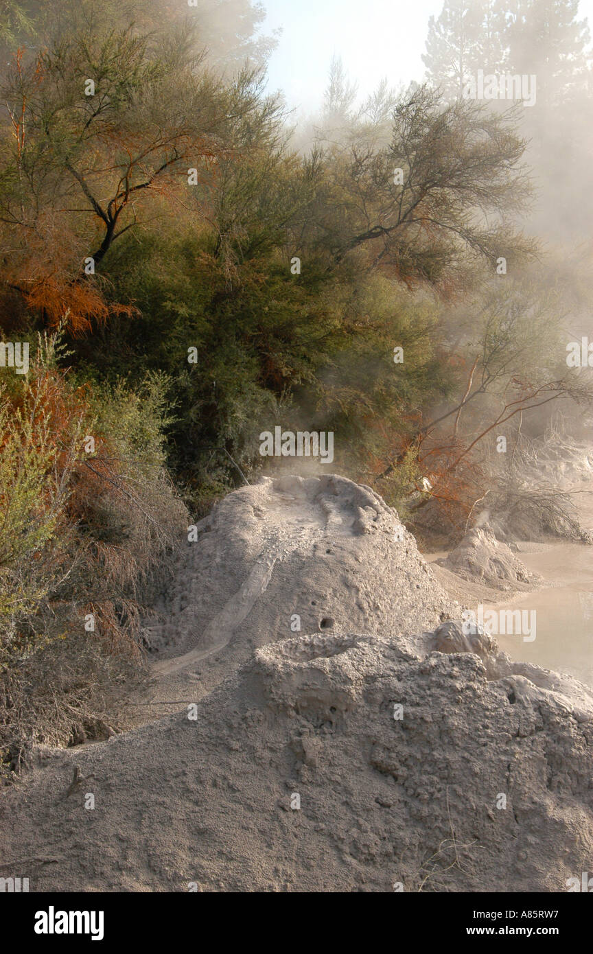 Hot mud springs at Rotorua, New Zealand Stock Photo - Alamy
