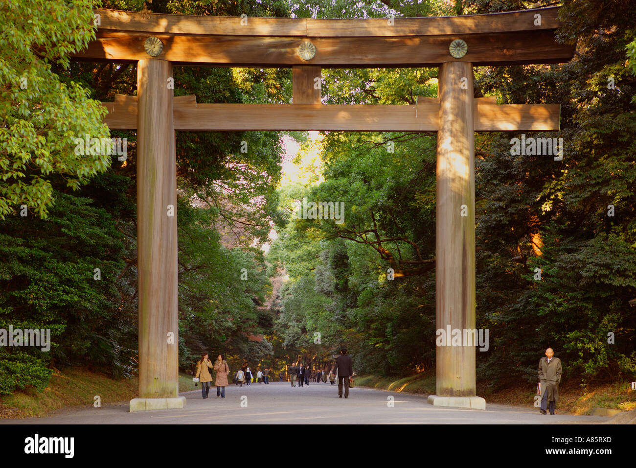 Torii entrance gates to the Meiji shrine temple Tokyo Japan Asia Stock ...