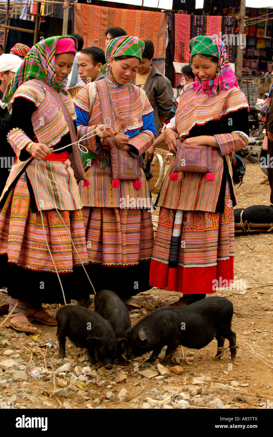 flower hmong bac ha Stock Photo - Alamy