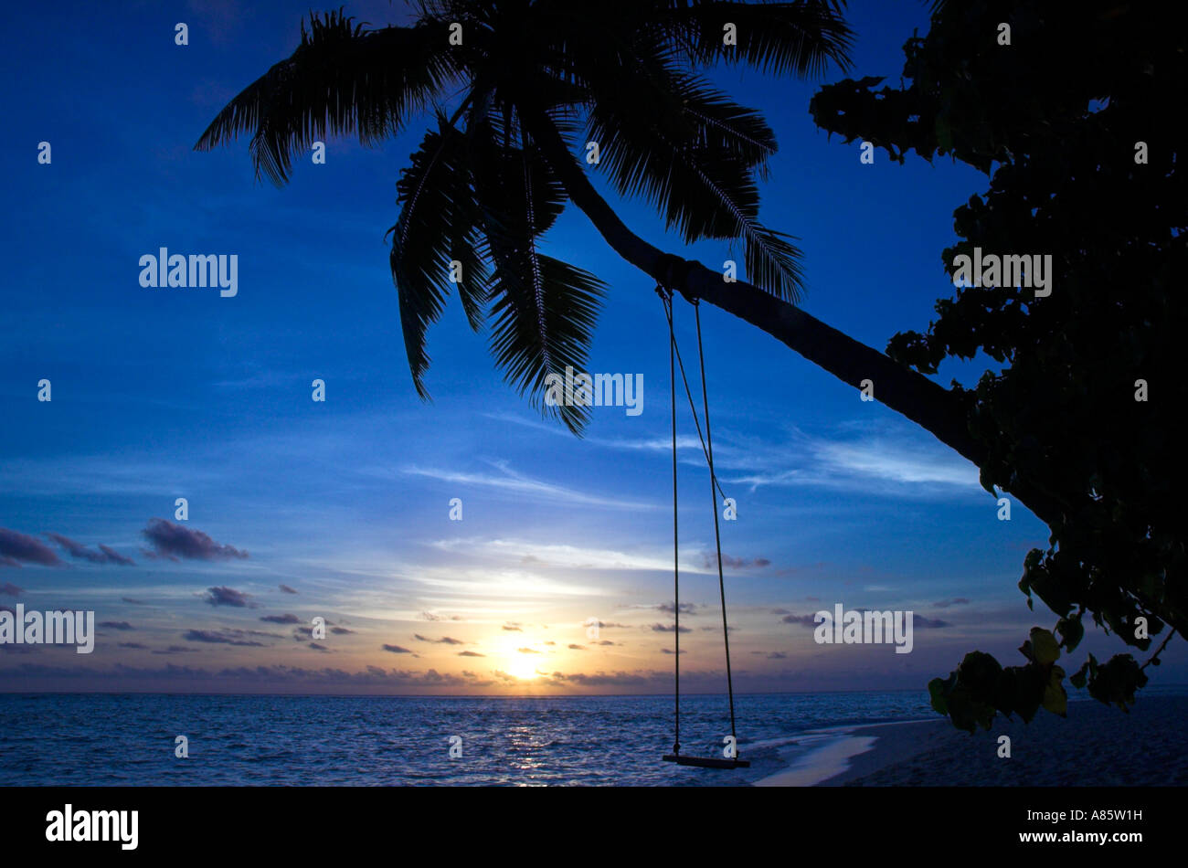 A beautiful sunset on the beach in the Maldives with the palm tree and ...