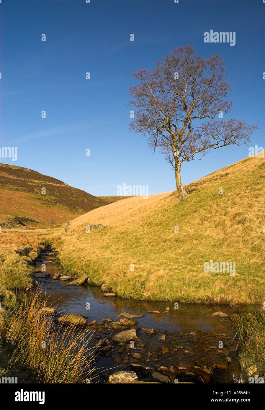 Howden moors hi-res stock photography and images - Alamy