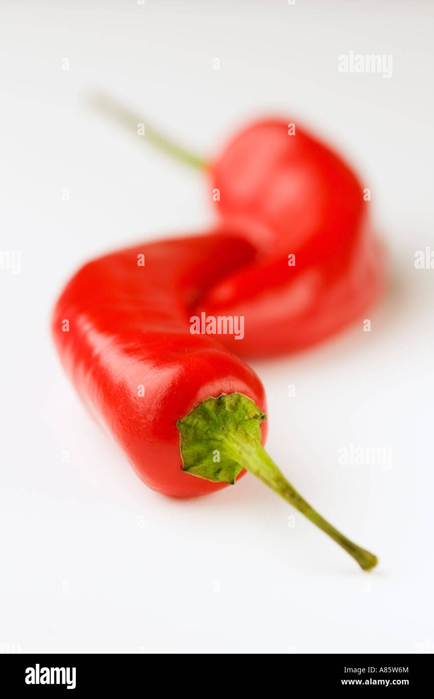 Two red Chilli Peppers on a white background Stock Photo - Alamy