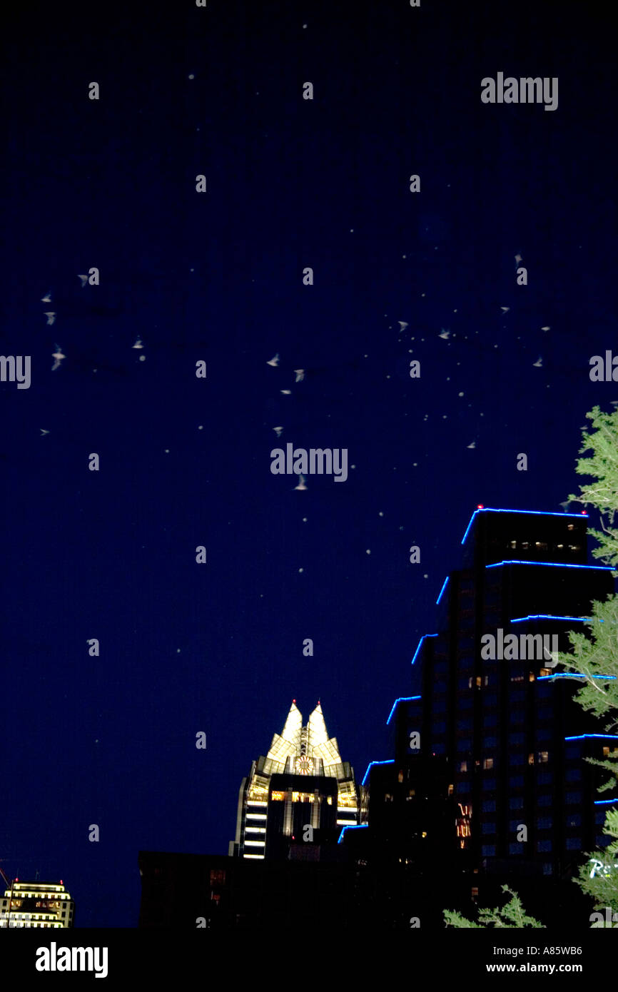 Bats swarm into the night sky over Austin Texas Stock Photo - Alamy