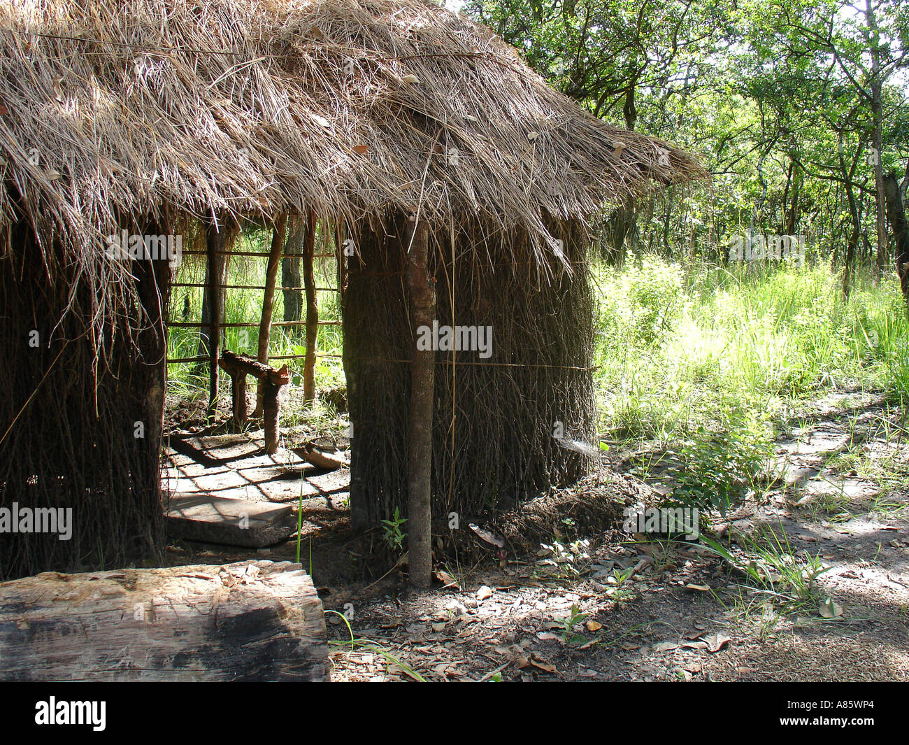 Details of simple traditional dry grass thatched shelter (temporary ...