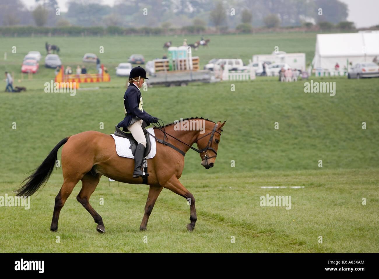 Horse and rider taking part in British Eventing Equestrian Event Stock ...