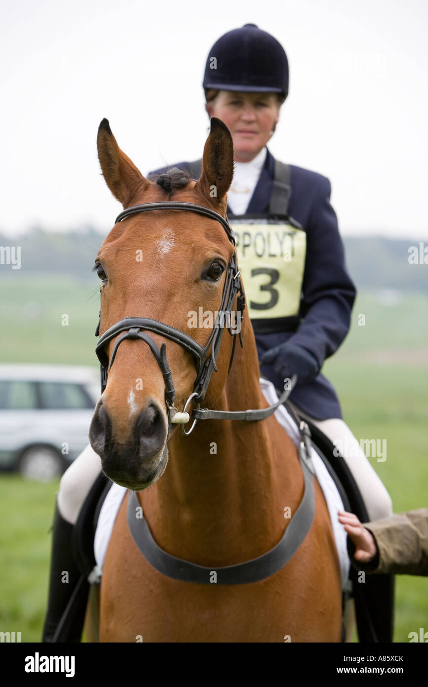Horse and rider taking part in British Eventing Equestrian Event Stock ...