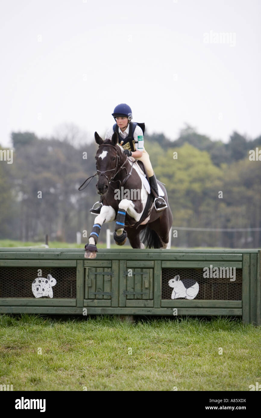 Horse and rider taking part in British Eventing Equestrian Event Stock ...