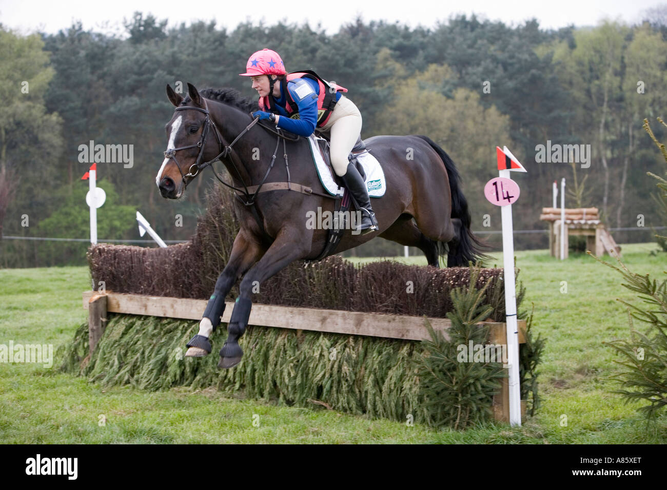 Horse and rider taking part in British Eventing Equestrian Event Stock ...