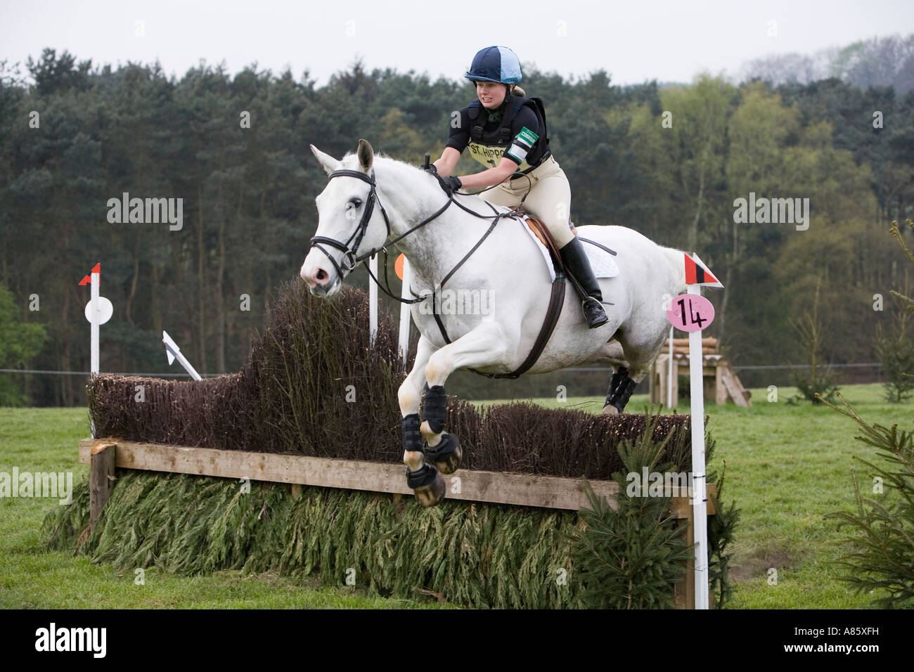 Horse and rider taking part in British Eventing Equestrian Event Stock ...