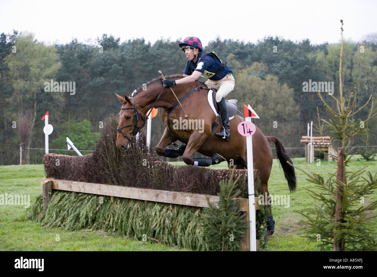 Horse and rider taking part in British Eventing Equestrian Event Stock ...