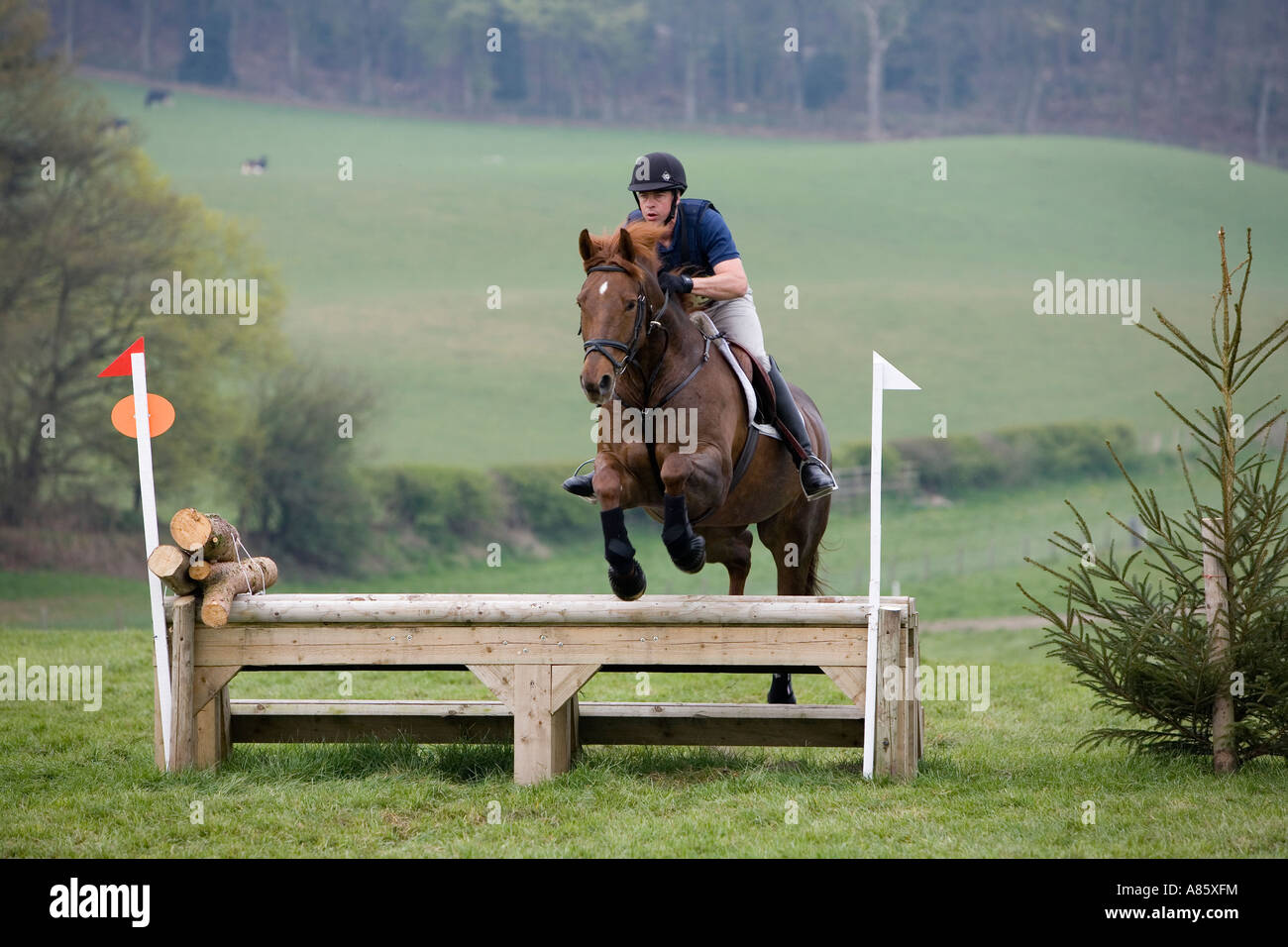 Horse and rider taking part in British Eventing Equestrian Event Stock ...