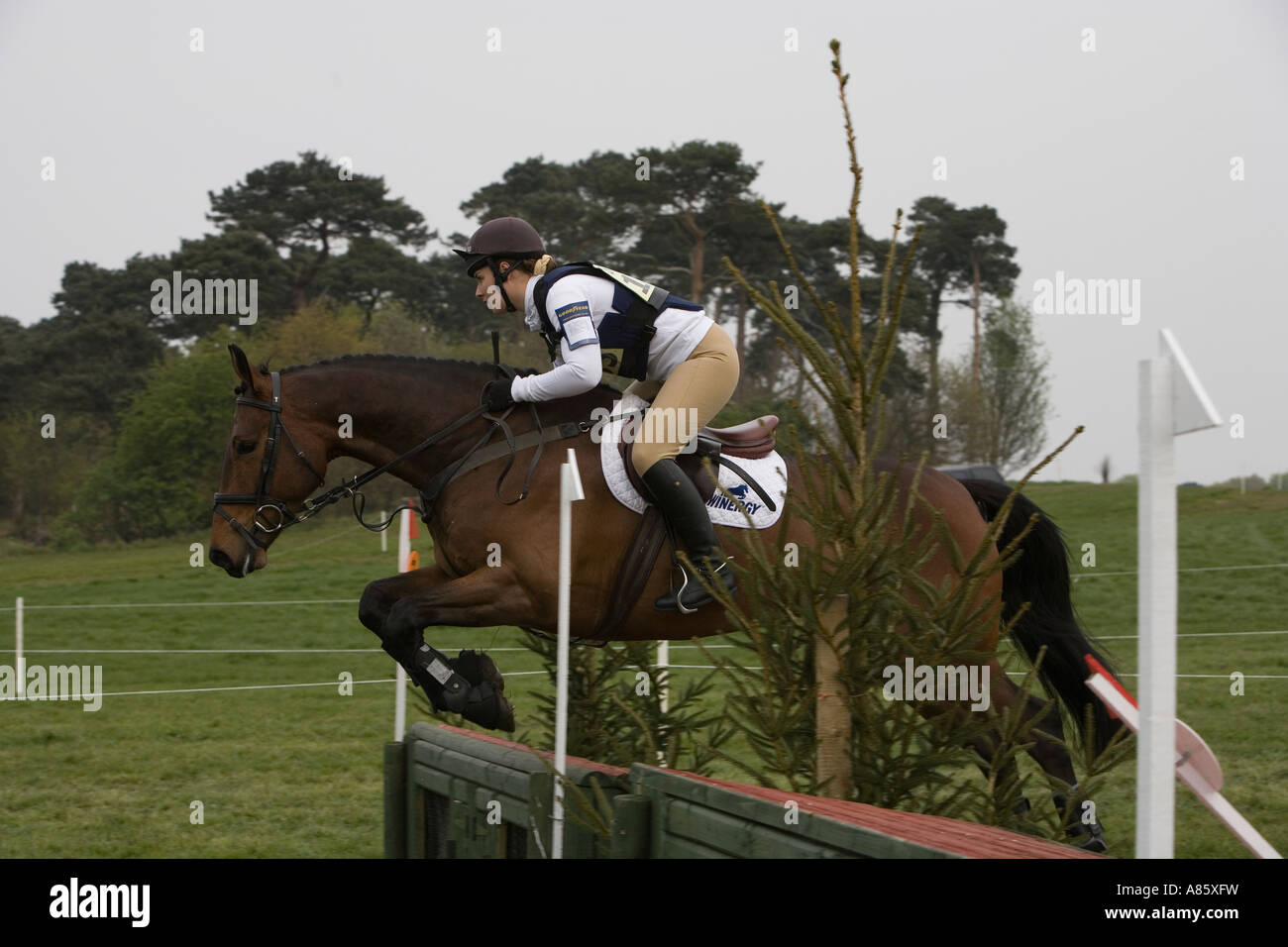 Horse and rider taking part in British Eventing Equestrian Event Stock ...
